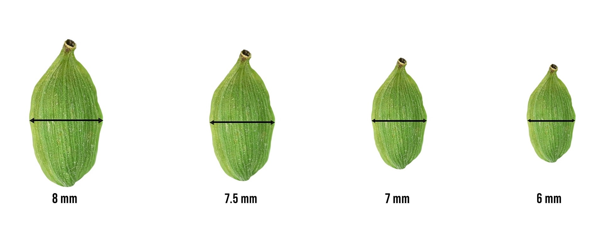 MAS India – Top Cardamom Exporter in India